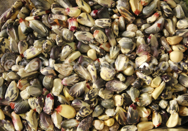 Les couleurs du Pérou, Champs et cultures du Pérou, photos