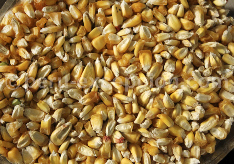 Les couleurs du Pérou, Champs et cultures du Pérou, photos